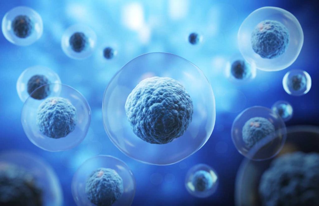 Para Qué Sirven las Células Madre: Guía Completa 2025 | R3 Stem Cell México